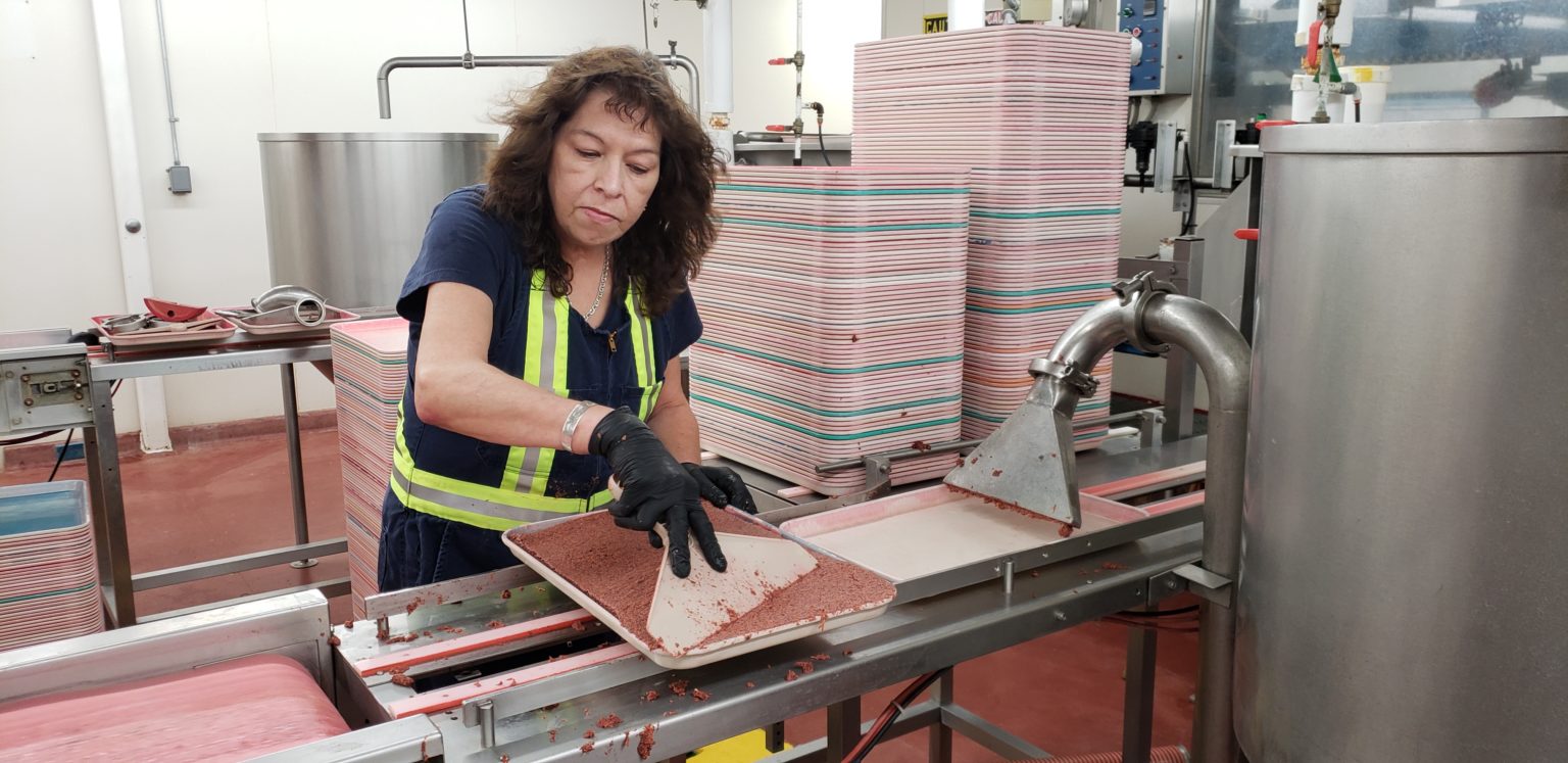 OKSIR Sterile Insect Release Process